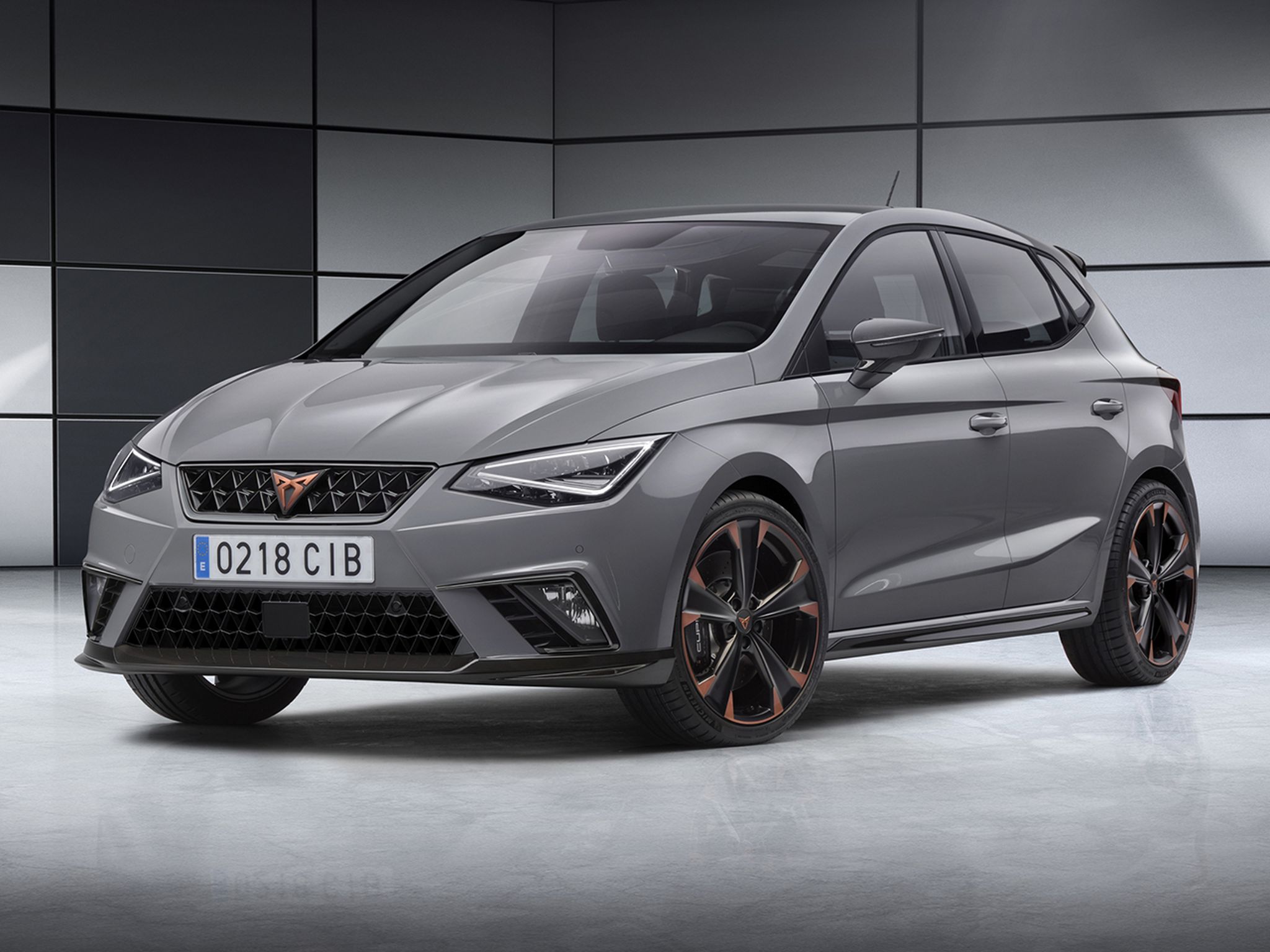 Cupra Raval: artículos y noticias sobre el nuevo modelo de la marca ...