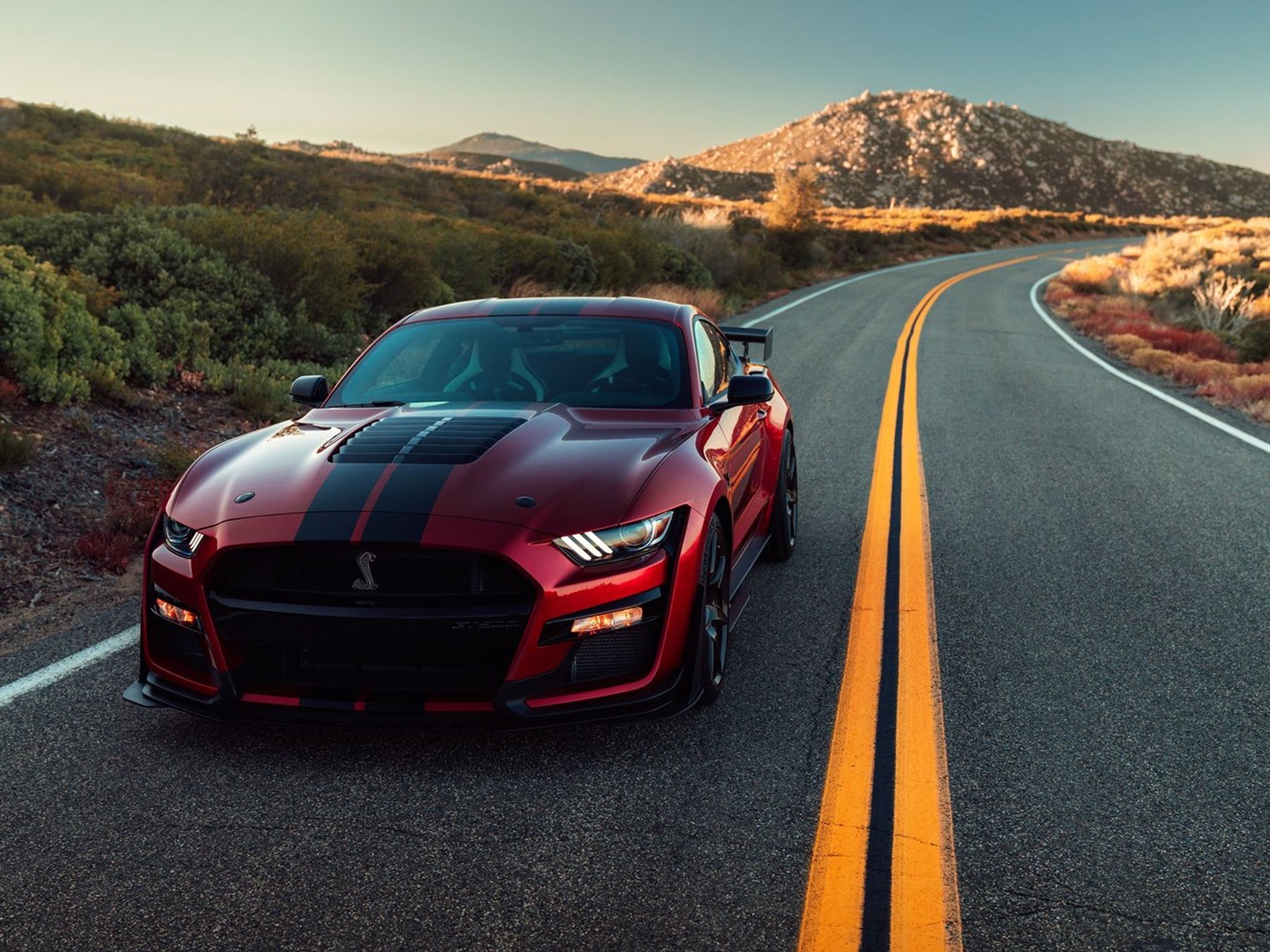 Ford Mustang Shelby GT500, un vehículo icónico de alto rendimiento con ...