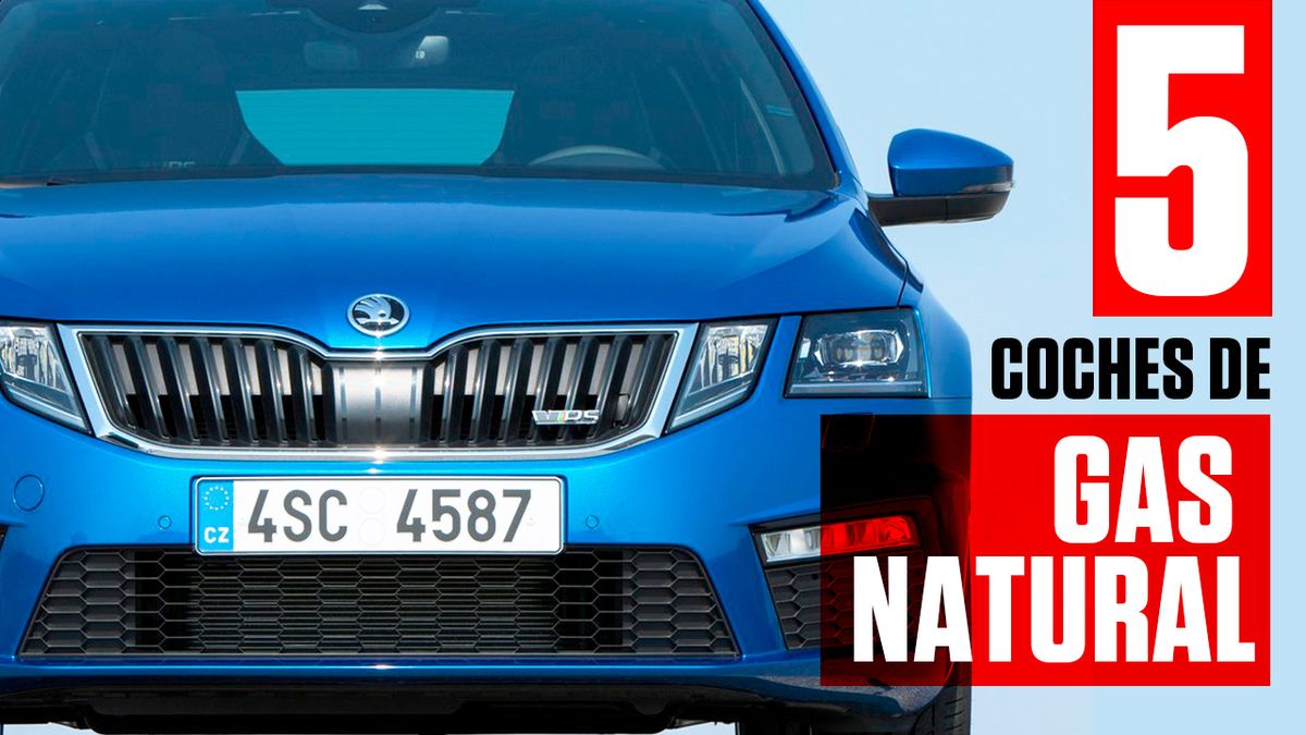 VÍDEO: Los 5 coches de gas natural más recomendables | Auto Bild España