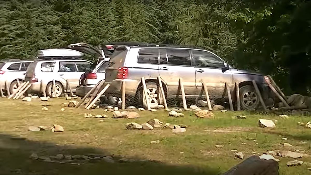 La razón por la que algunos propietarios protegen sus coches ...